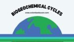 Biogeochemical Cycles: Carbon, Nitrogen and Water Cycles - Online ...
