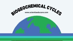 Biogeochemical Cycles: Carbon, Nitrogen and Water Cycles - Online ...
