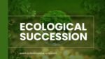 Ecological Succession: Primary and Secondary - Online Learning Platform