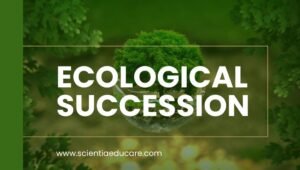 Ecological Succession: Primary and Secondary - Online Learning Platform