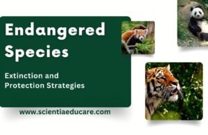 Impact of Poverty on Education Systems: Challenges & Solutions