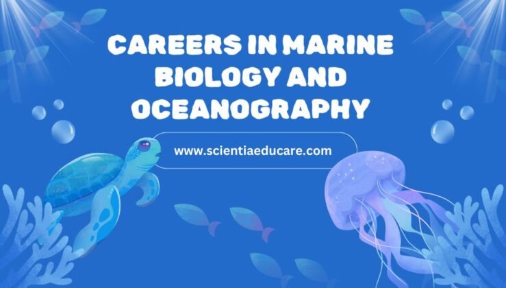 Exploring Careers in Marine Biology and Oceanography - Online Learning ...