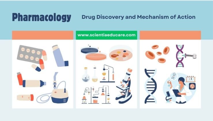 Pharmacology: Drug Discovery and Mechanism of Action - Online Learning ...