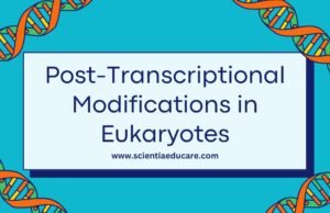 Causes and Impact of Fascism in Europe: A Historical Overview