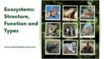Ecosystems: Structure, Function and Types - Online Learning Platform