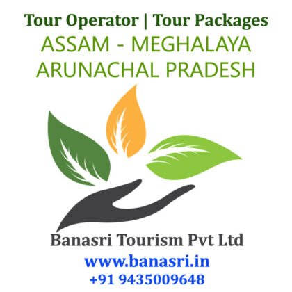 Lysosomes: Essential for Cell Waste Disposal & Recycling